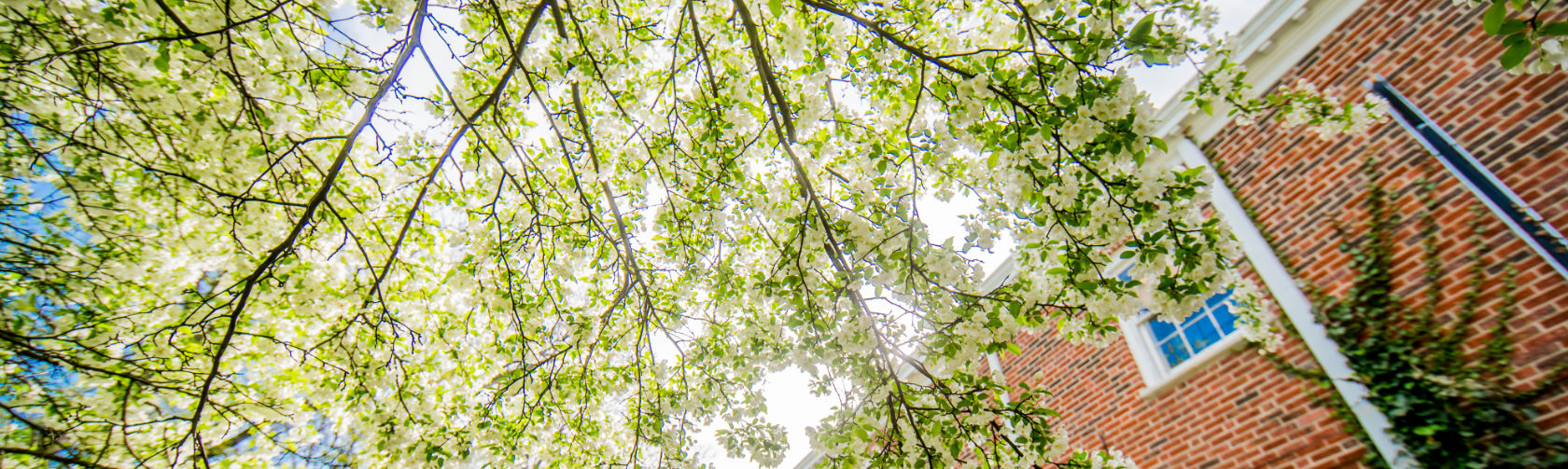 Schedule Your Visit at Judson University | Judson Enrollment