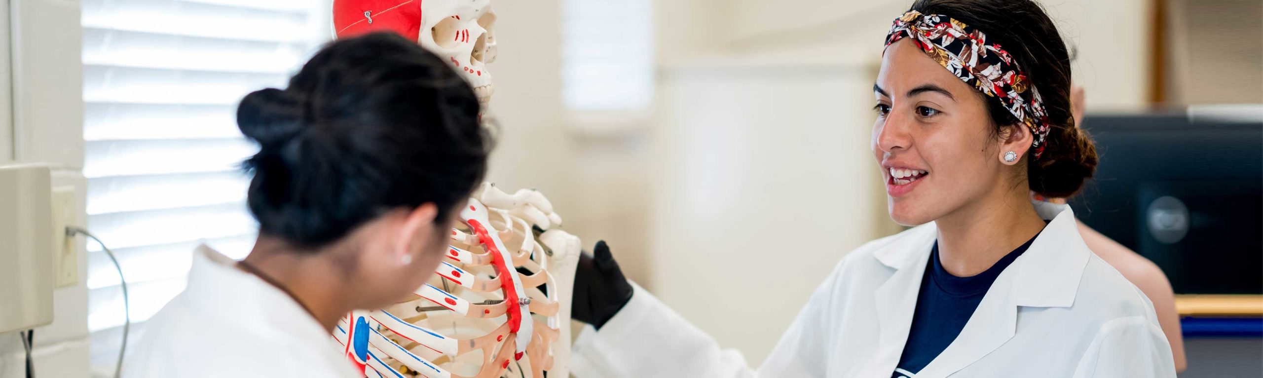 Pre-Chiropractic | Judson University